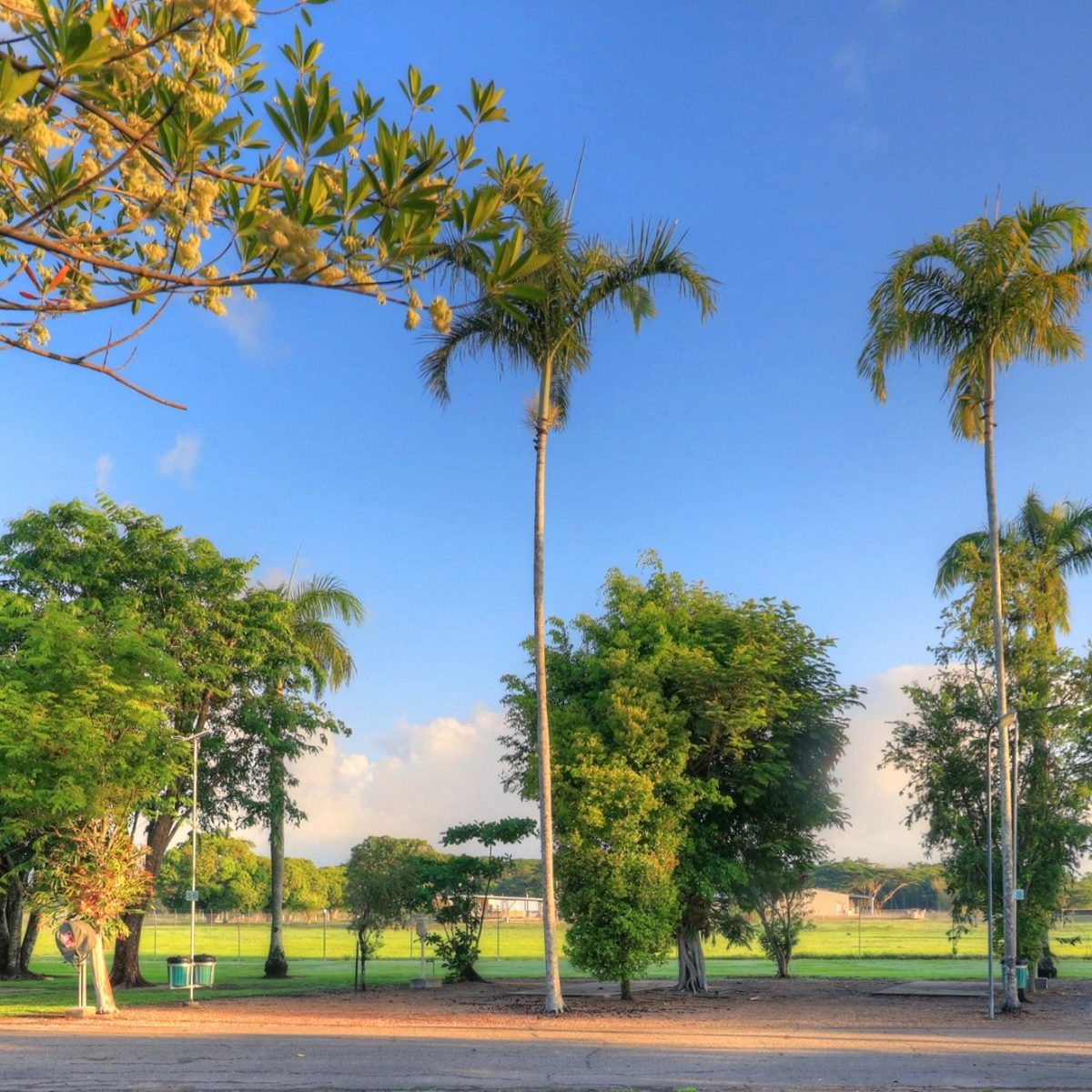 Our Park - Ingham Tourist Park