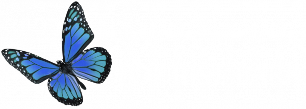 Victoria Plantation - Victoria Mill - Ingham Tourist Park