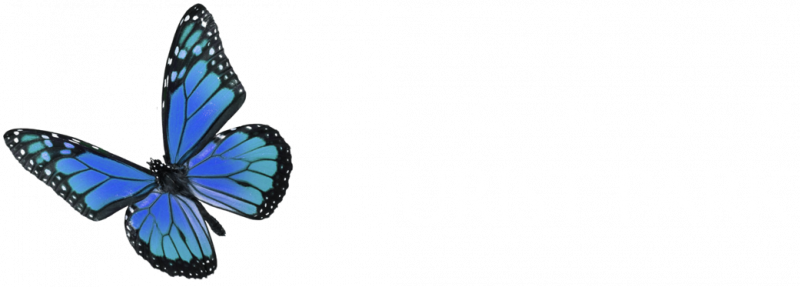 Victoria Plantation - Victoria Mill - Ingham Tourist Park